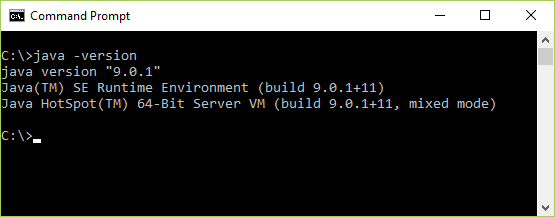Test Server Environment Setup